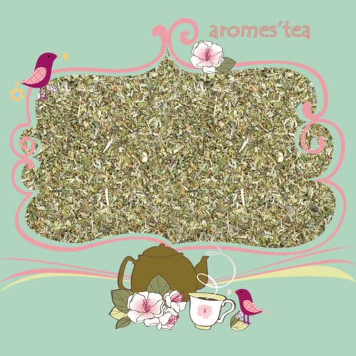 Infusión Menta Poleo ¡una medicina natural!